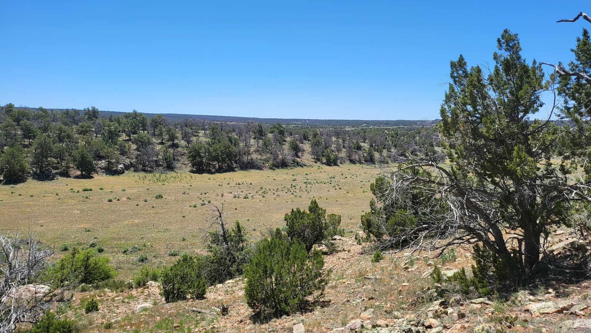 Land for sale in Ramah, New Mexico, 1056801